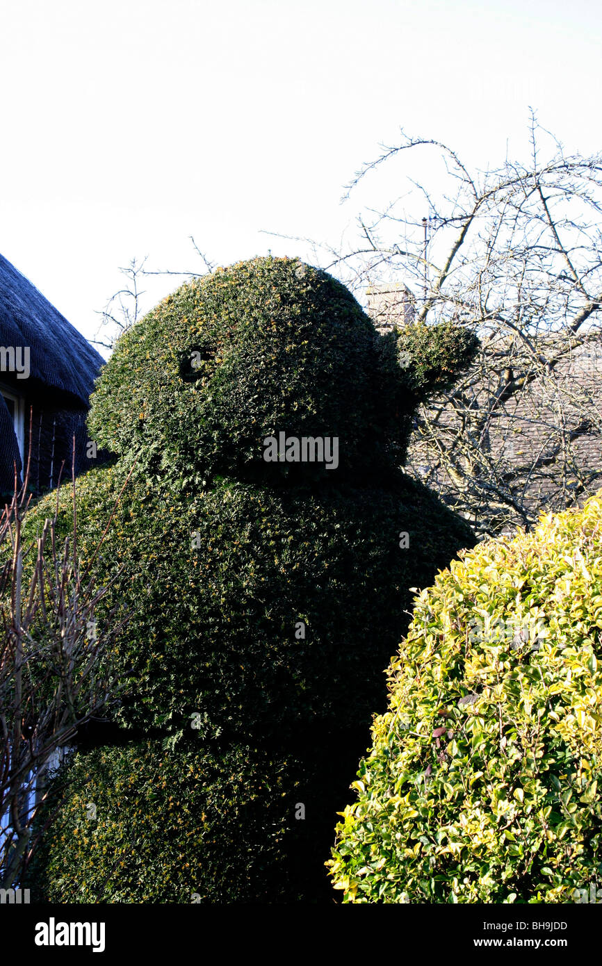 Cotswolds topiary hi-res stock photography and images - Alamy