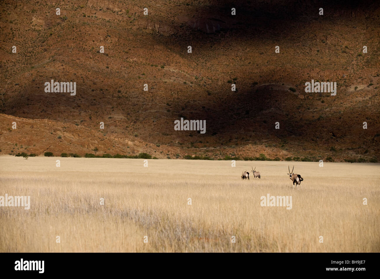 Marienfluss namibia hi-res stock photography and images - Alamy