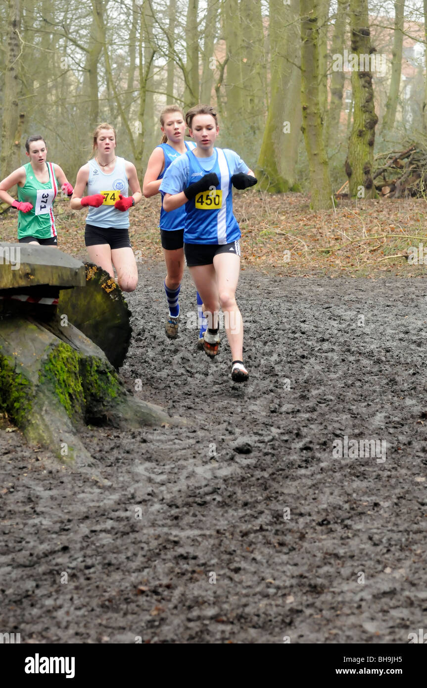 Cross country race track hi-res stock photography and images - Alamy