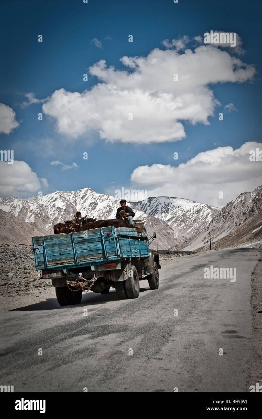 People transport animals on hi-res stock photography and images - Alamy