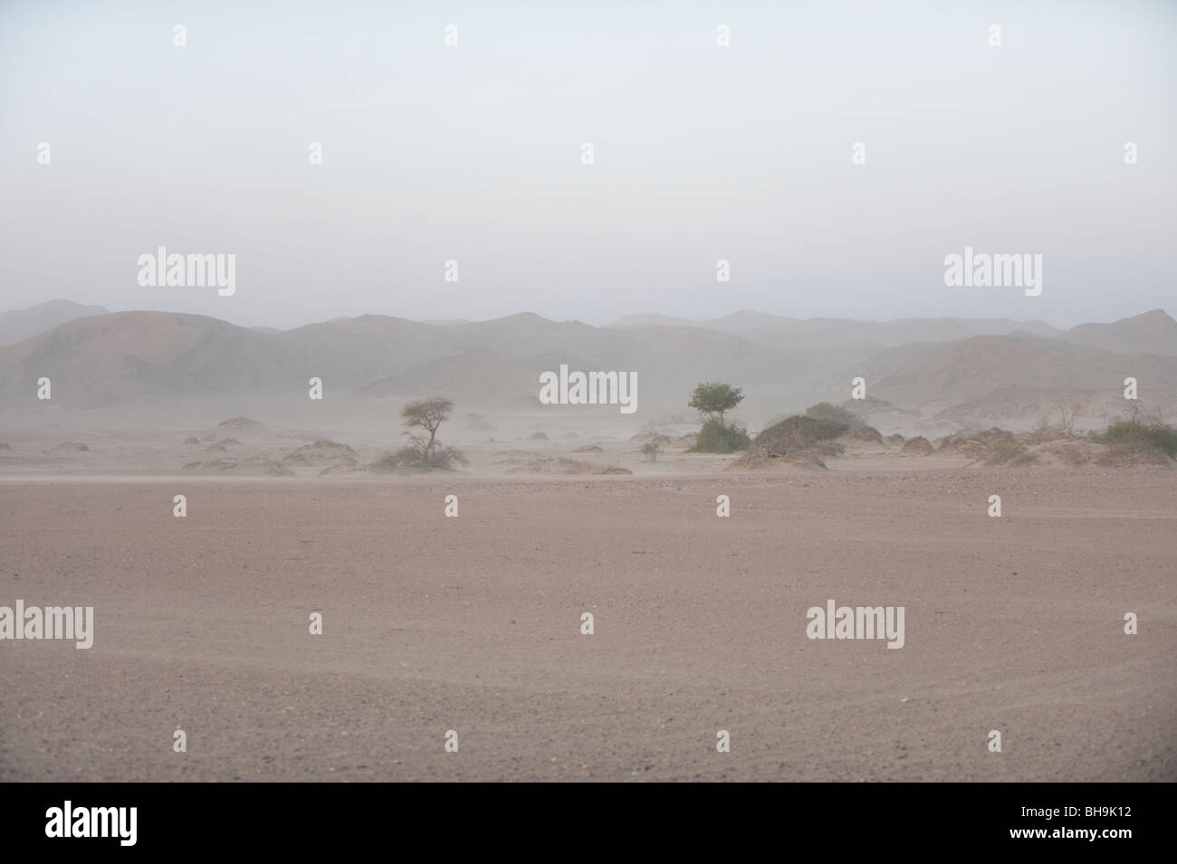 Dust storm desert hi-res stock photography and images - Alamy