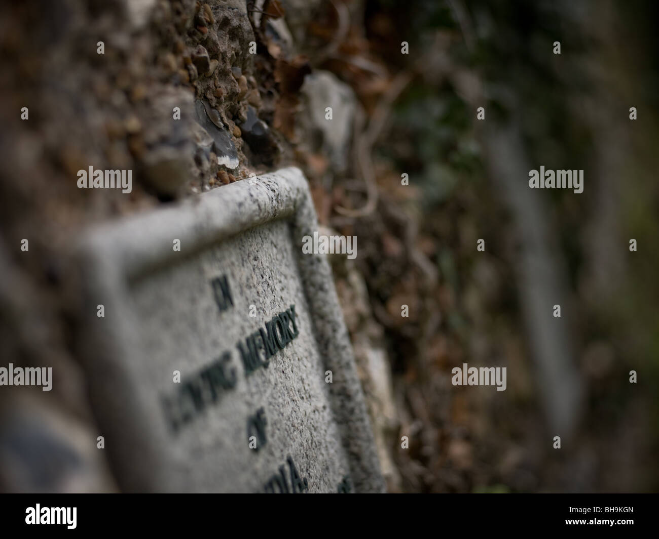 tombstone in cemetery Stock Photo - Alamy