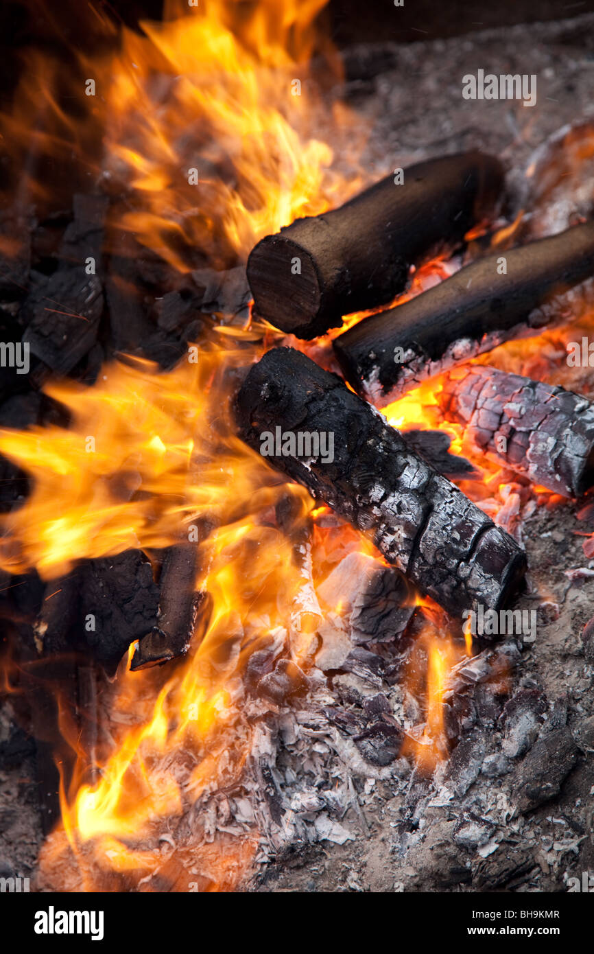 woods in fire Stock Photo - Alamy