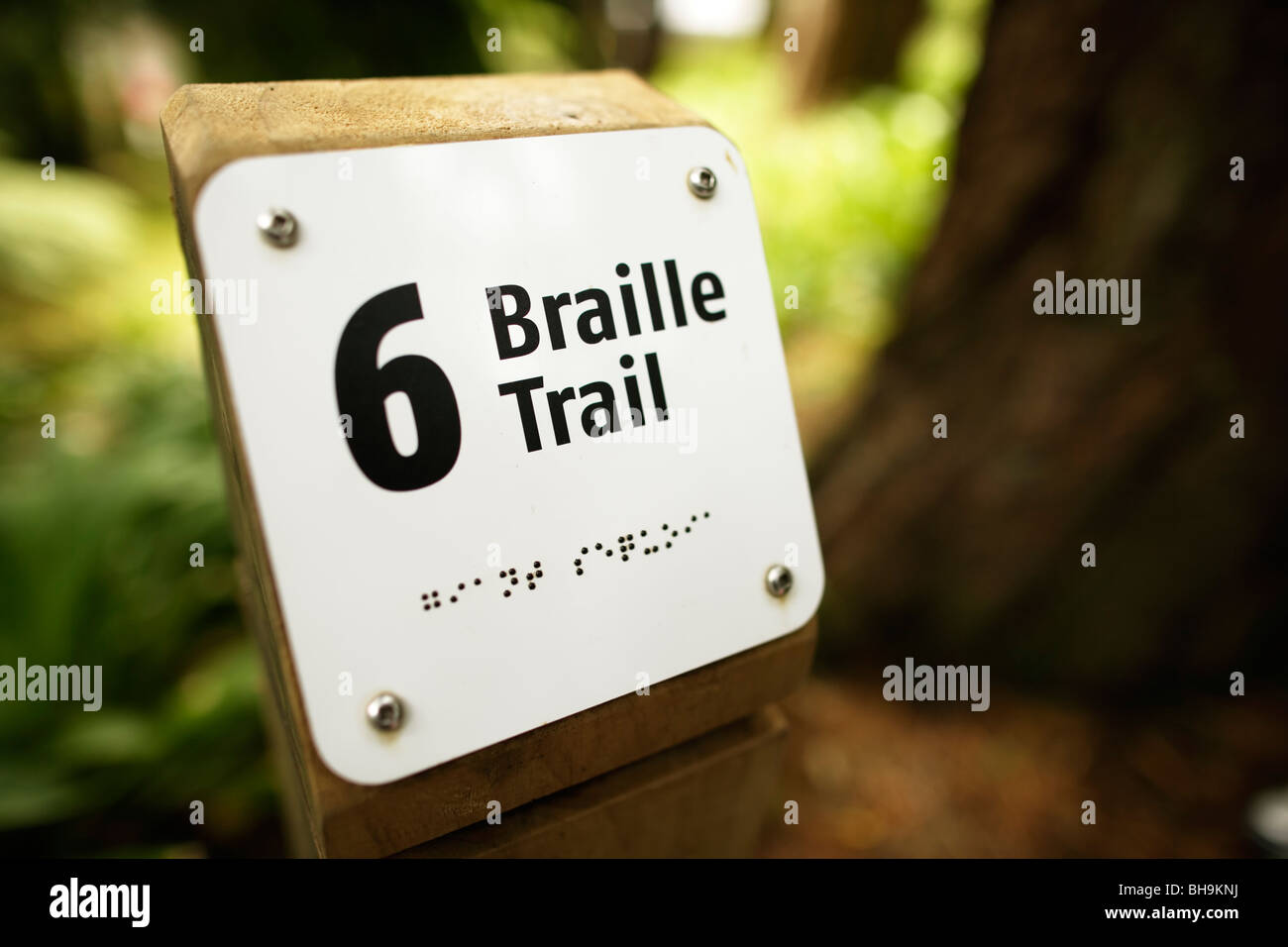 Braille High Resolution Stock Photography and Images - Alamy