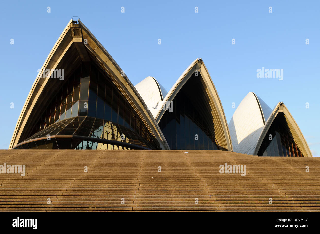 Sydney opera house steps night hi-res stock photography and images - Alamy