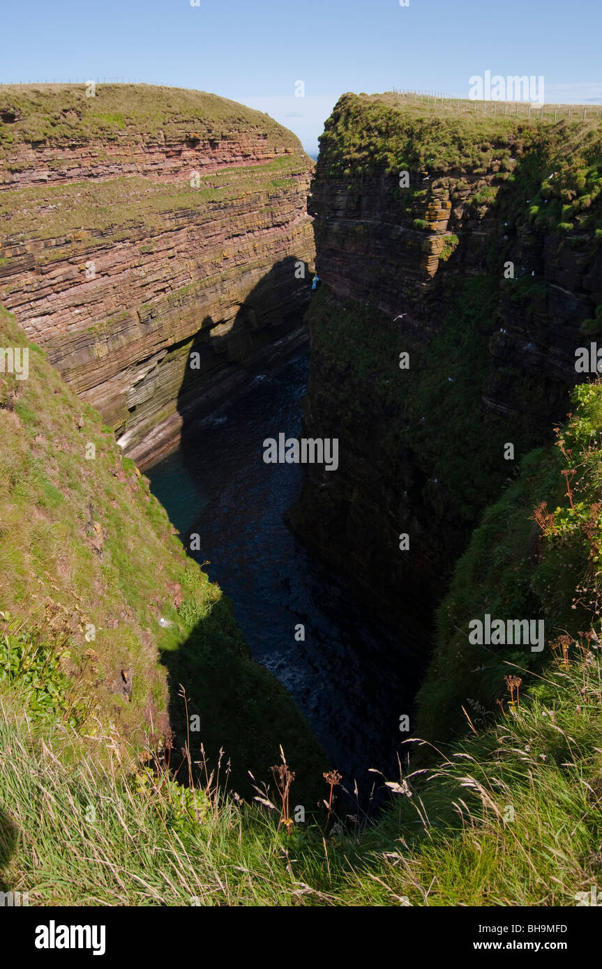 Cleft hi-res stock photography and images - Alamy