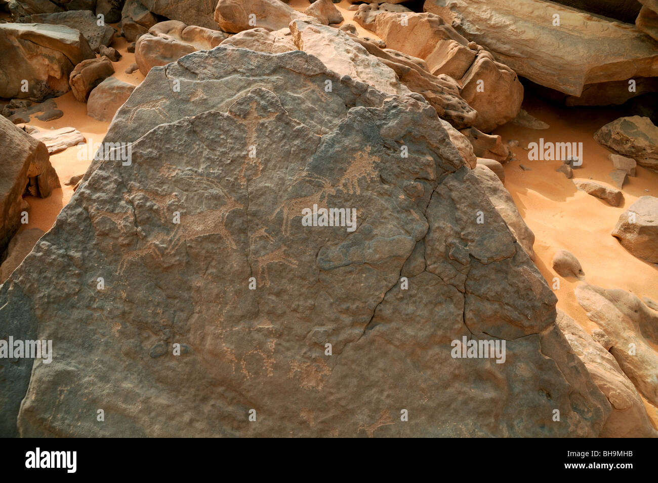 Petroglyph africa hi-res stock photography and images - Alamy