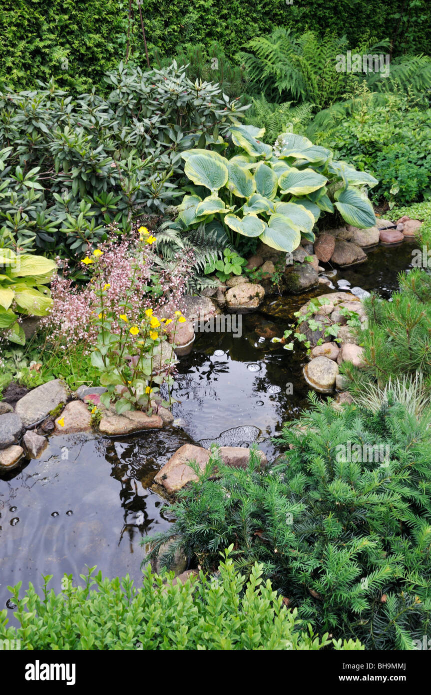 Perennial stream hi-res stock photography and images - Alamy