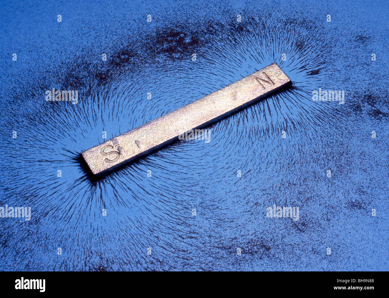 Iron filings show fields of attraction of two poles of a bar magnet ...