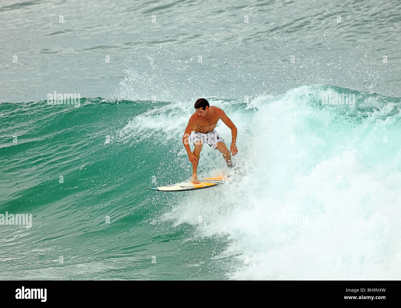 Surfing contest Australian surfers in competition Stock Photo - Alamy