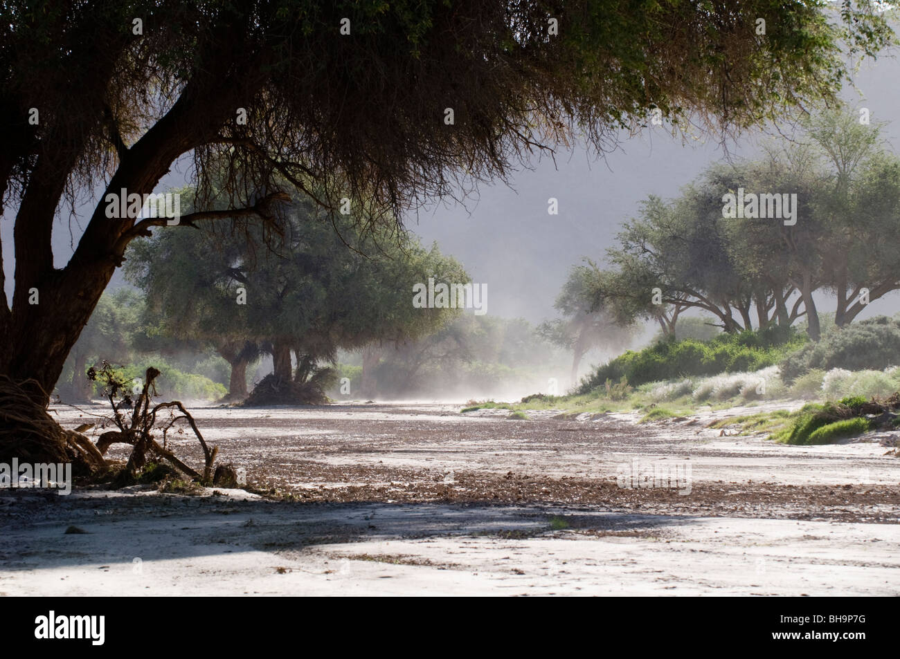 The hoanib river valley in the dry season. Kaokoland, Namibia Stock ...