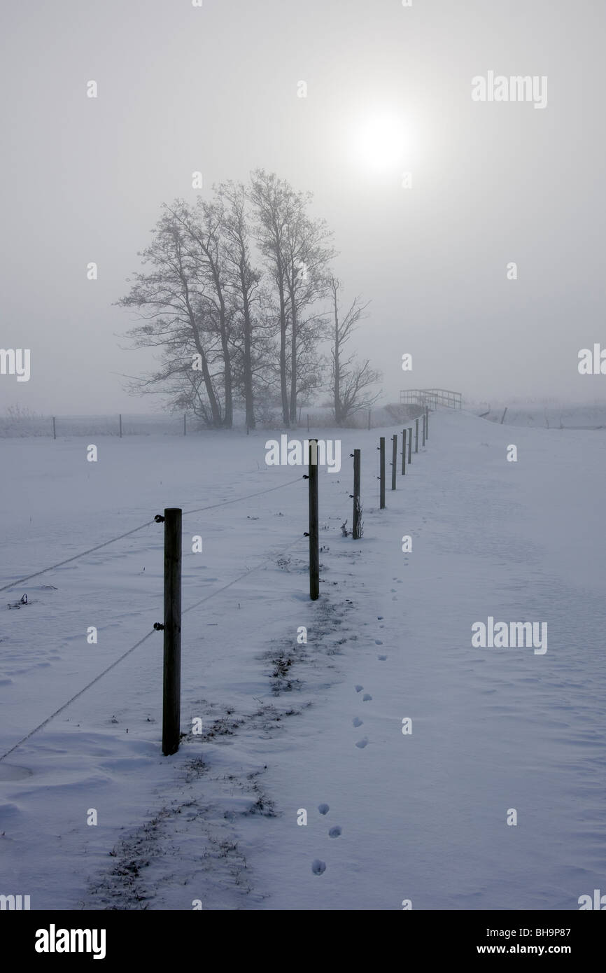 Sun shining through the cold mist Stock Photo - Alamy