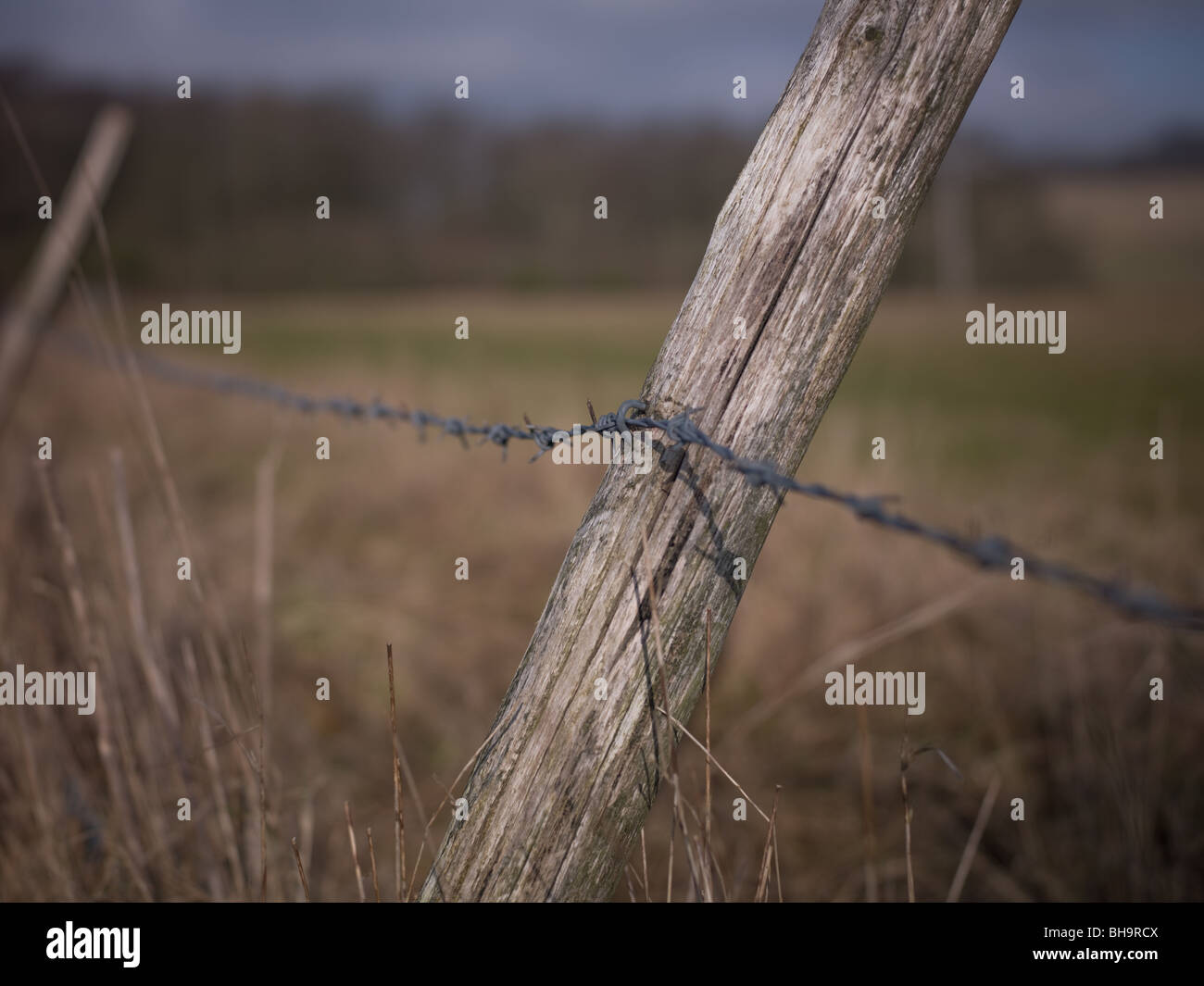 wooden fence post with barbed wire Stock Photo - Alamy