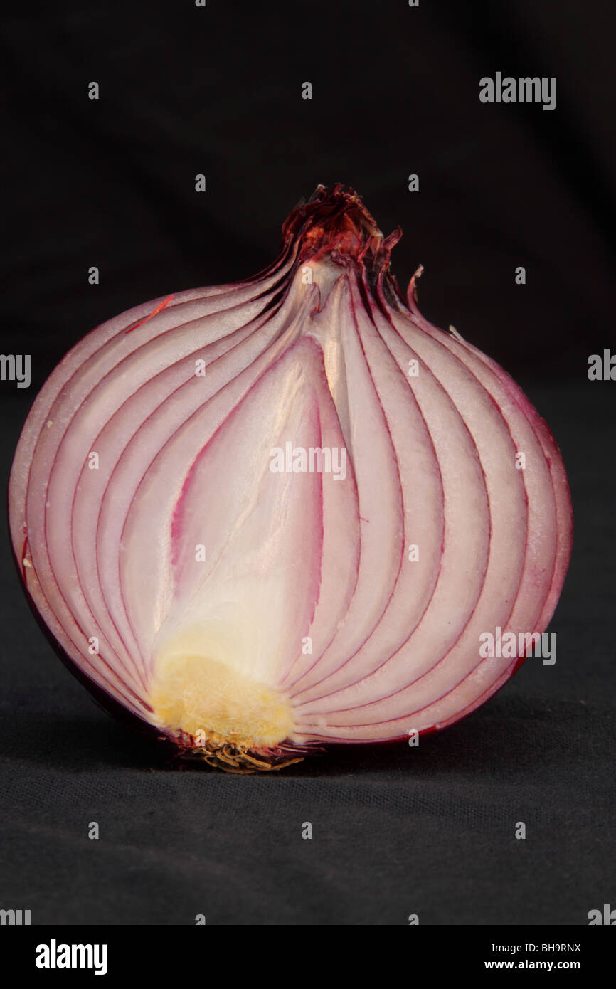 Onion cultivar hi-res stock photography and images - Alamy