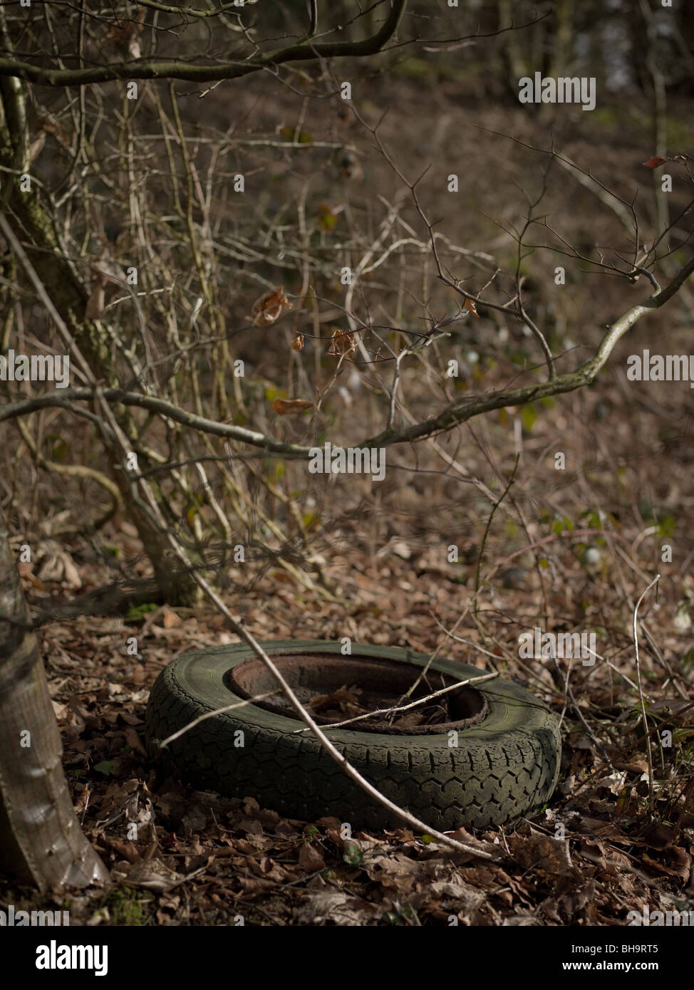 rusty car tyre and wheel in a forest Stock Photo - Alamy