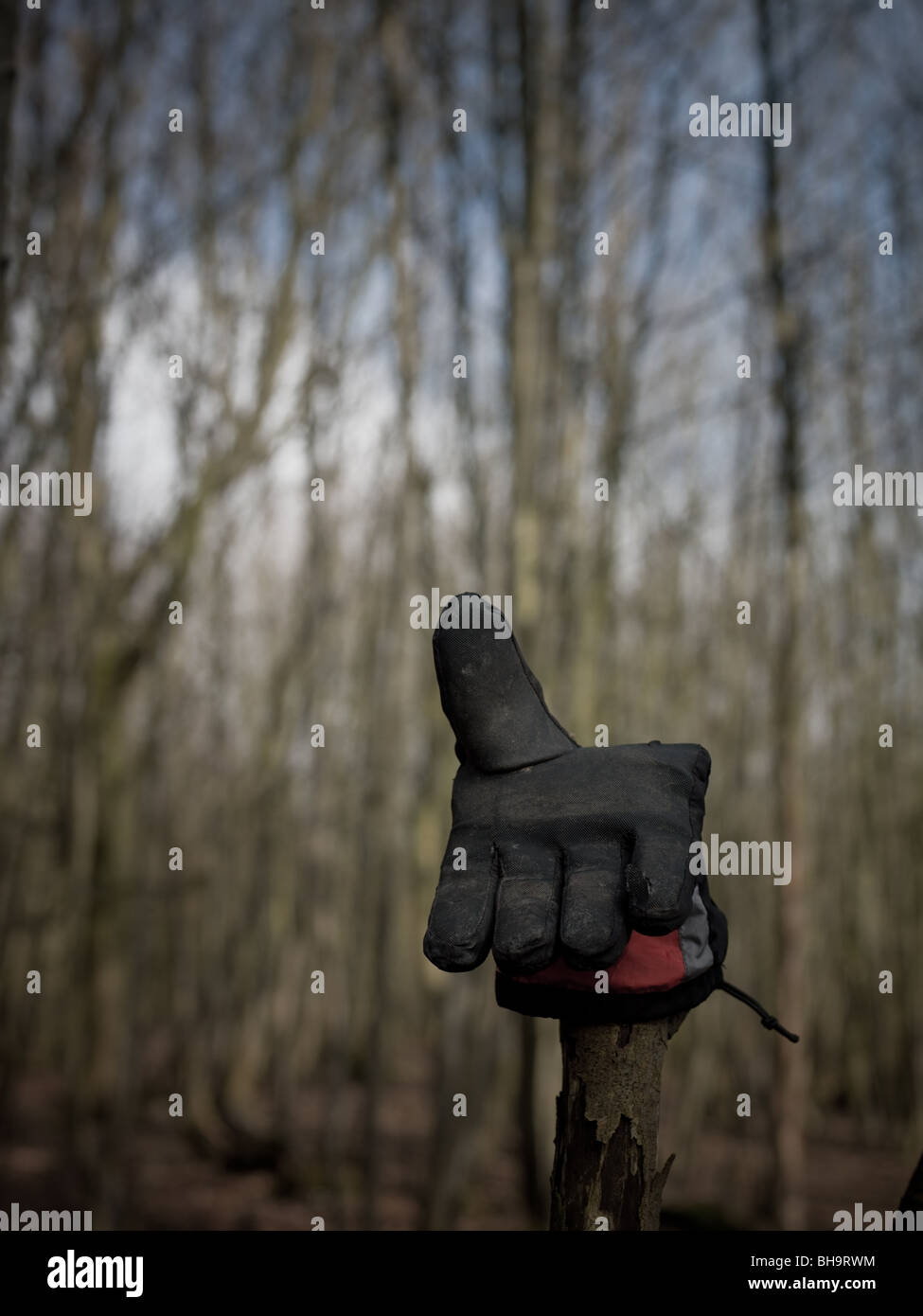 Lost glove hi-res stock photography and images - Alamy