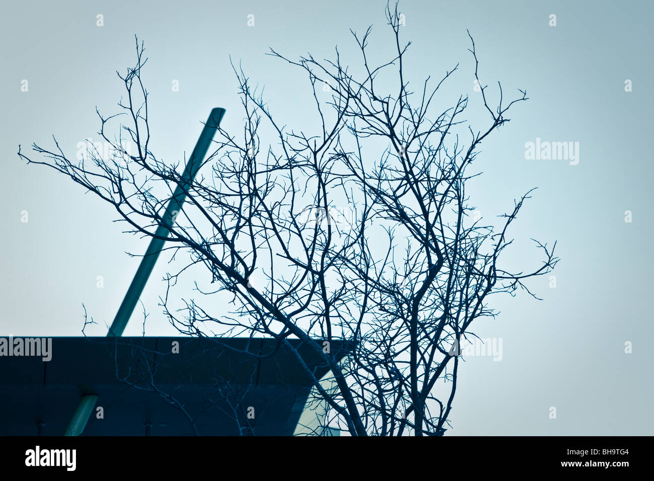 corporate building exterior and tree Stock Photo - Alamy