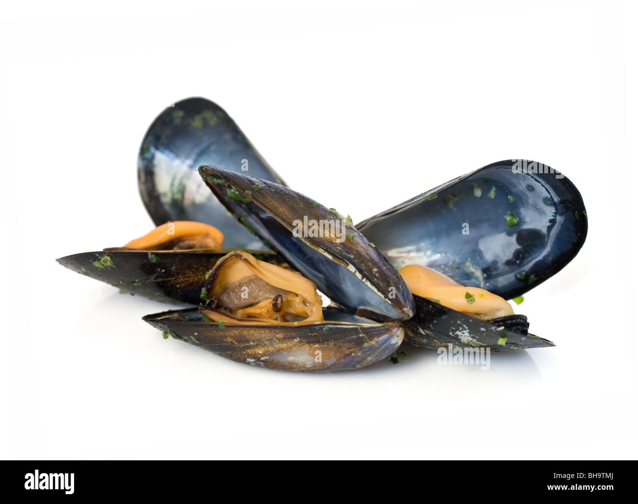 three mussels boiled with garlic isolated on white background Stock ...