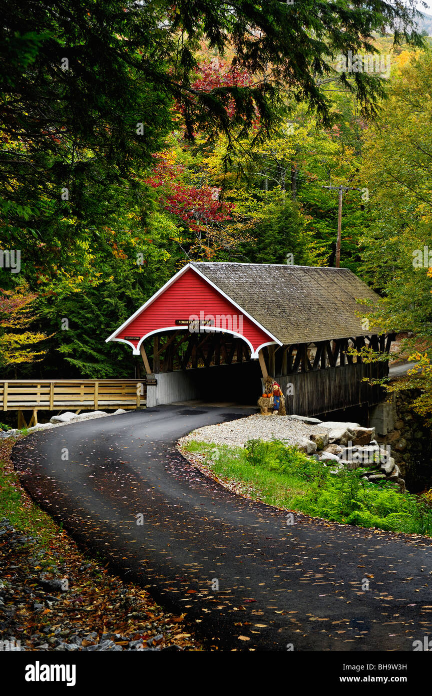 Flume Bridge and Autumn Color in Franconia Notch State Park in Grafton ...
