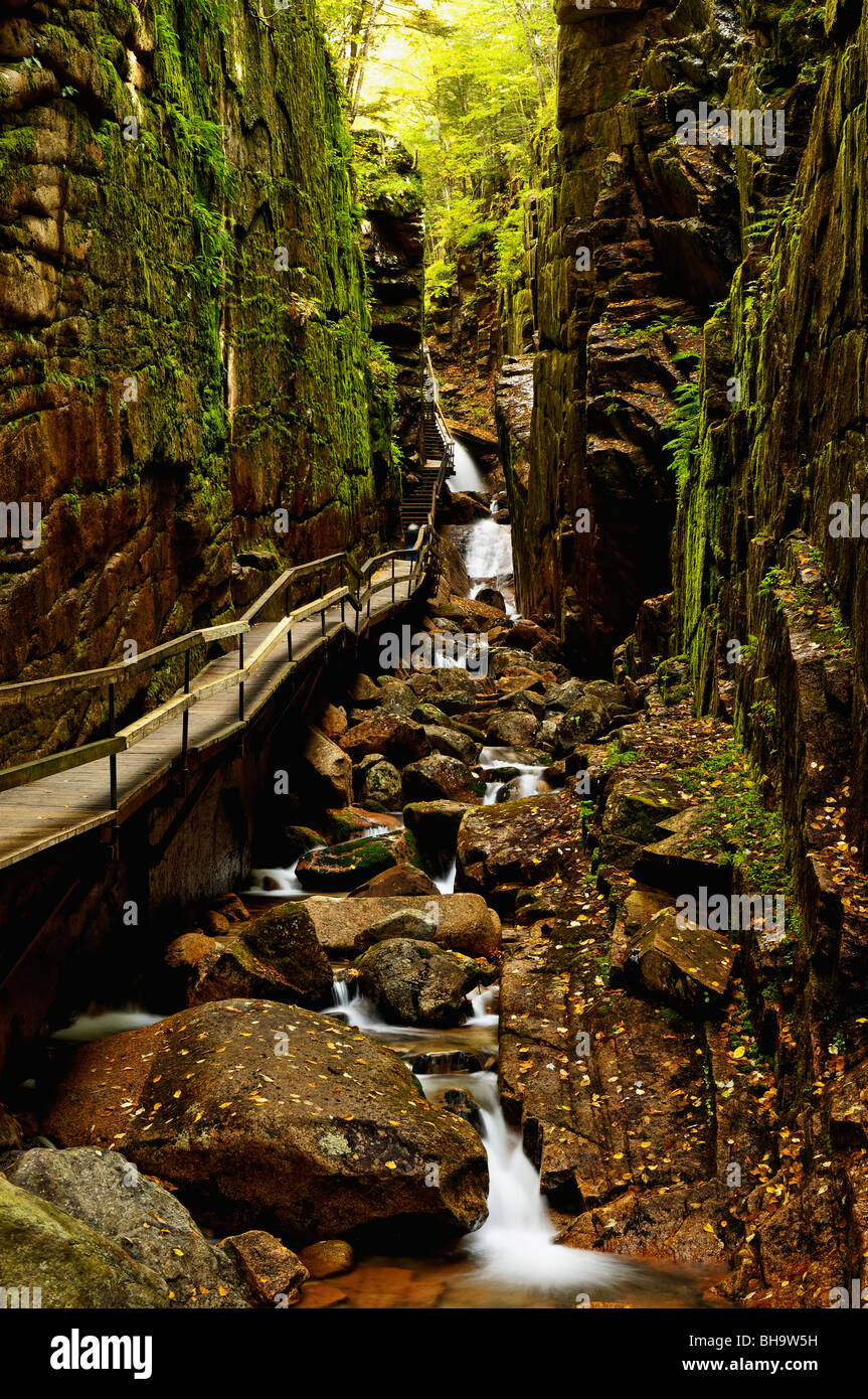 Flume Gorge in Franconia Notch State Park in Grafton County, New Hampshire Stock Photo - Alamy