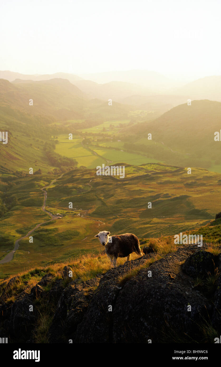 Roman legion hi-res stock photography and images - Alamy