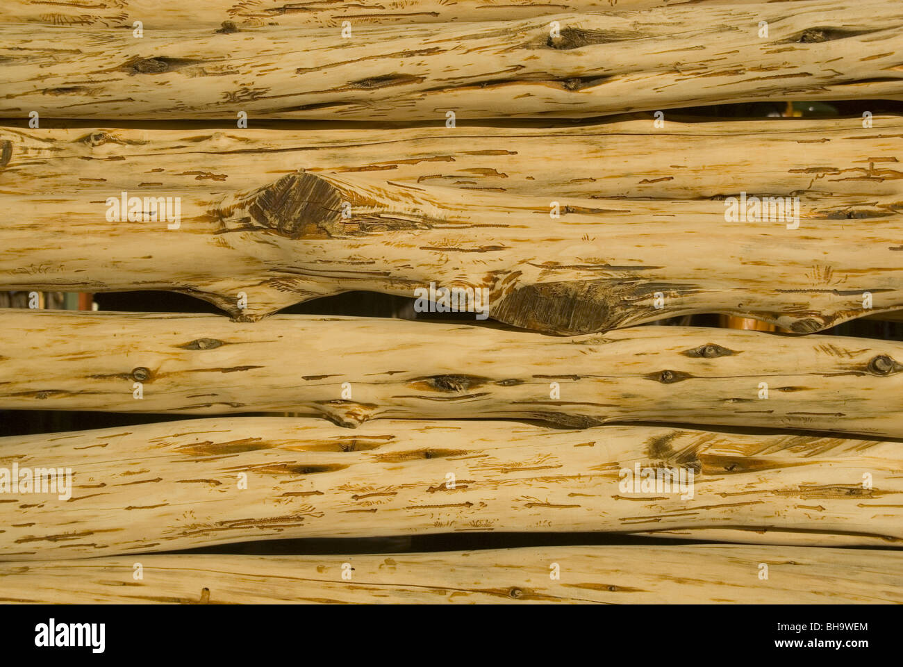 Cedar Fence Posts High Resolution Stock Photography and Images - Alamy