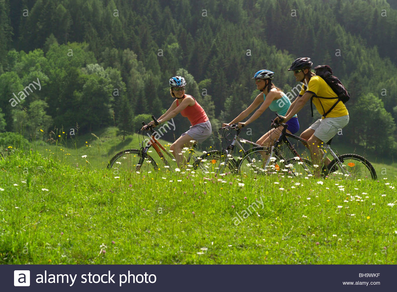 Gruppe Radfahrer High Resolution Stock Photography and Images - Alamy