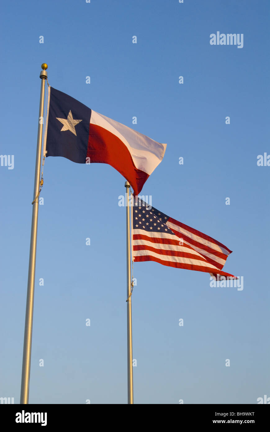 United States of America and Texas Flags Blowing Against a clear Blue ...