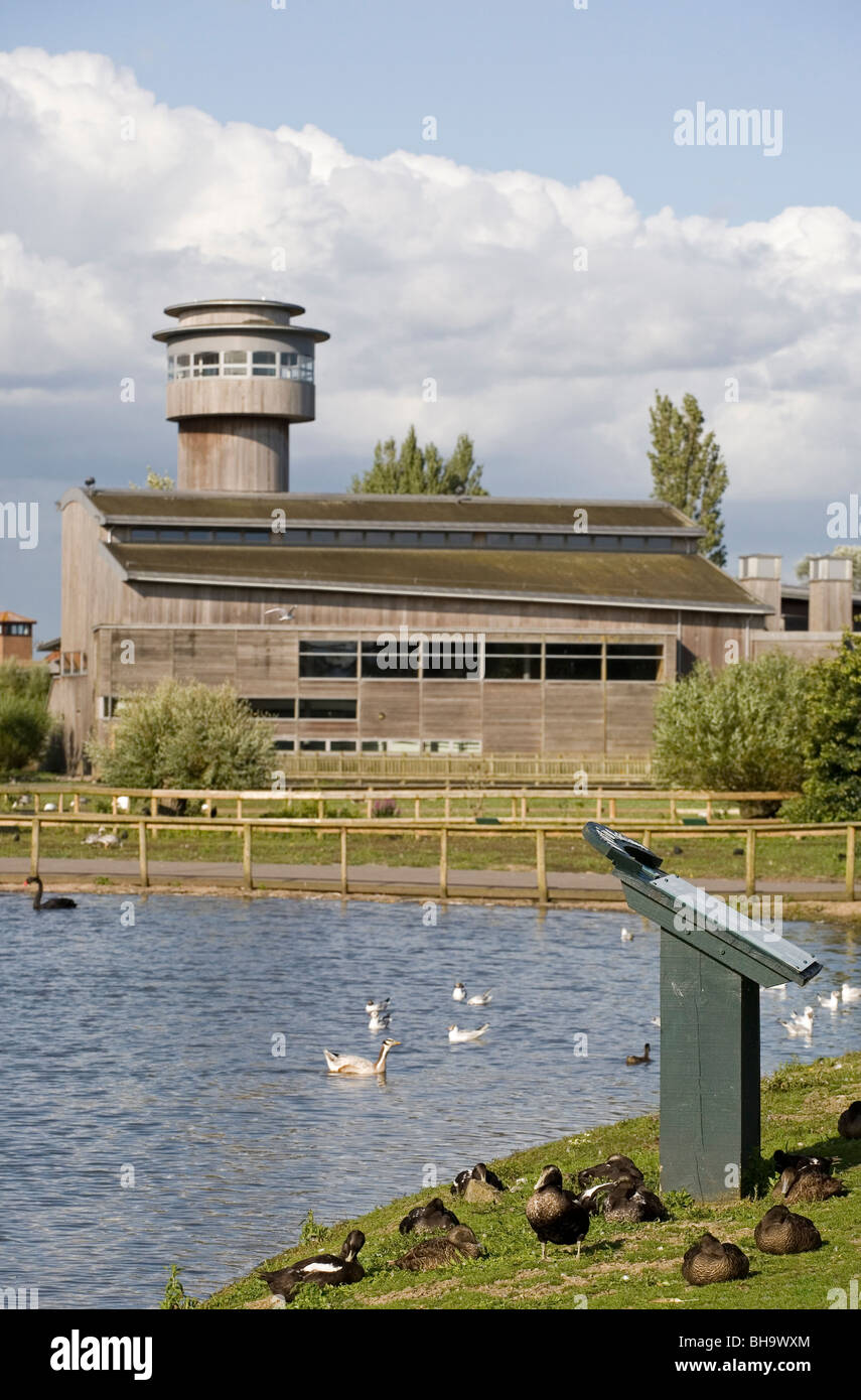 Wwt slimbridge hi-res stock photography and images - Alamy
