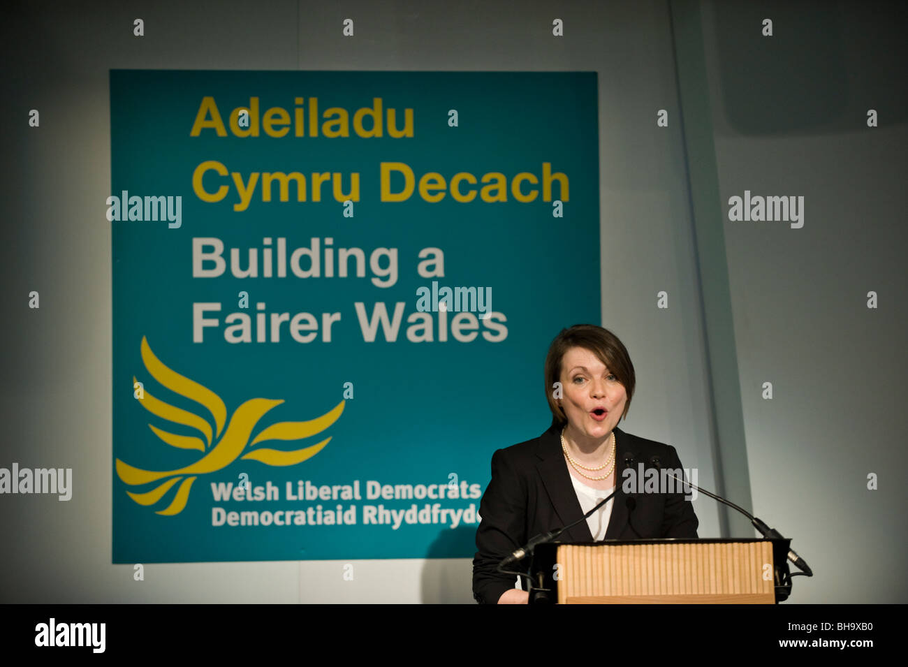 British liberal democratic party hi-res stock photography and images ...