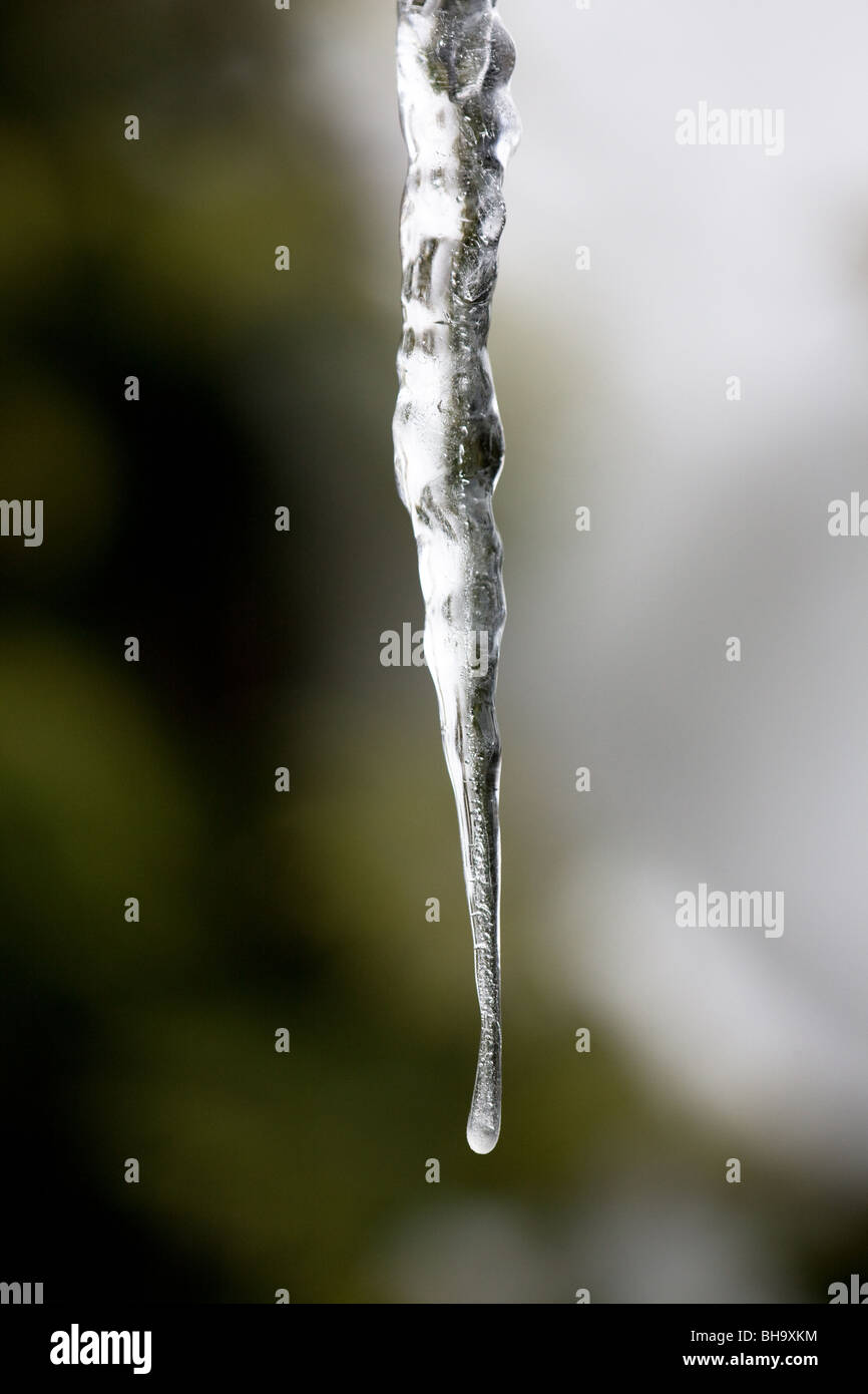 Ice frozen icicle hi-res stock photography and images - Alamy