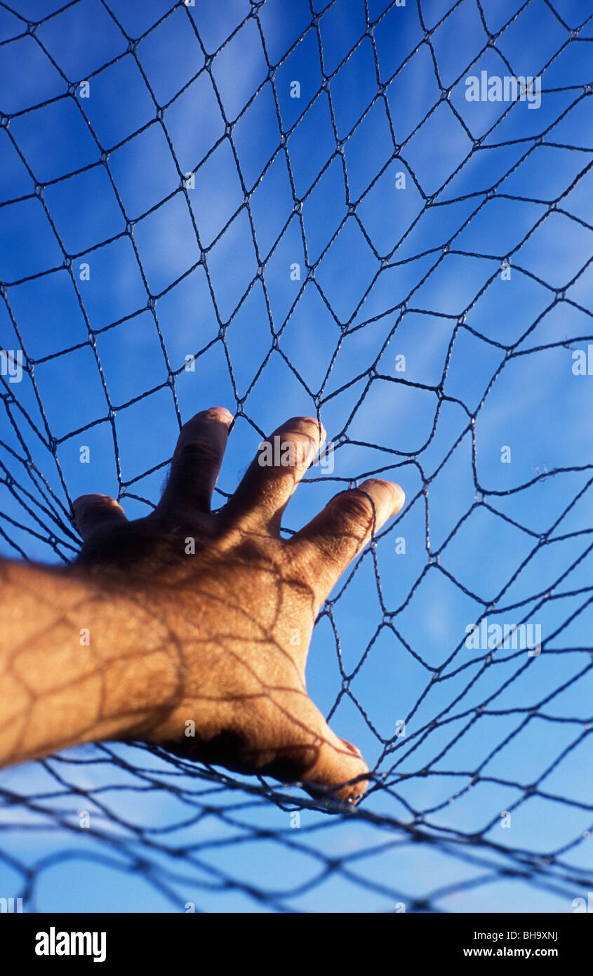Hand grasping a net Stock Photo - Alamy
