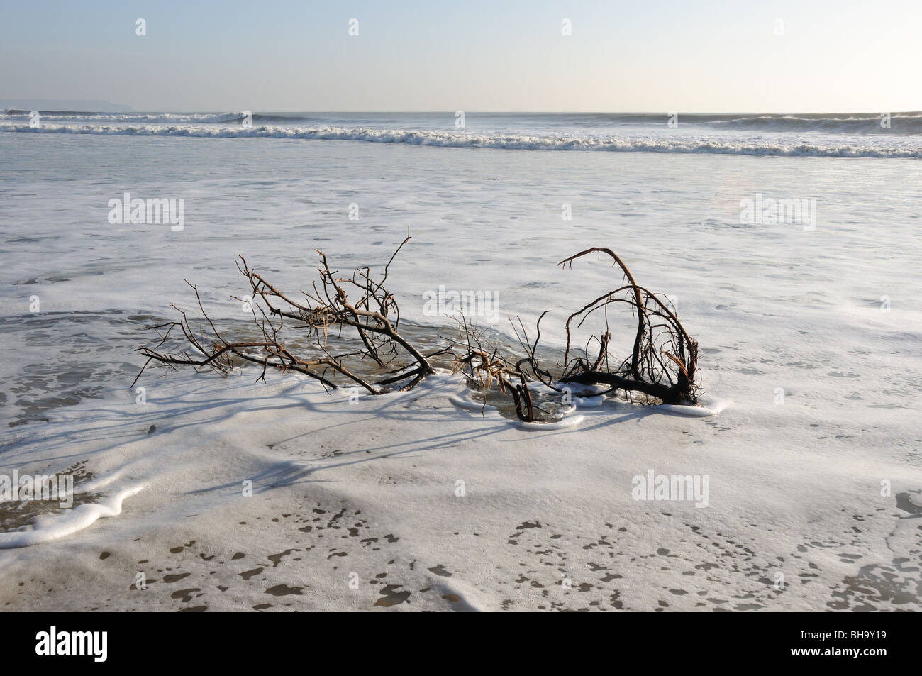 Flotsam hi-res stock photography and images - Alamy