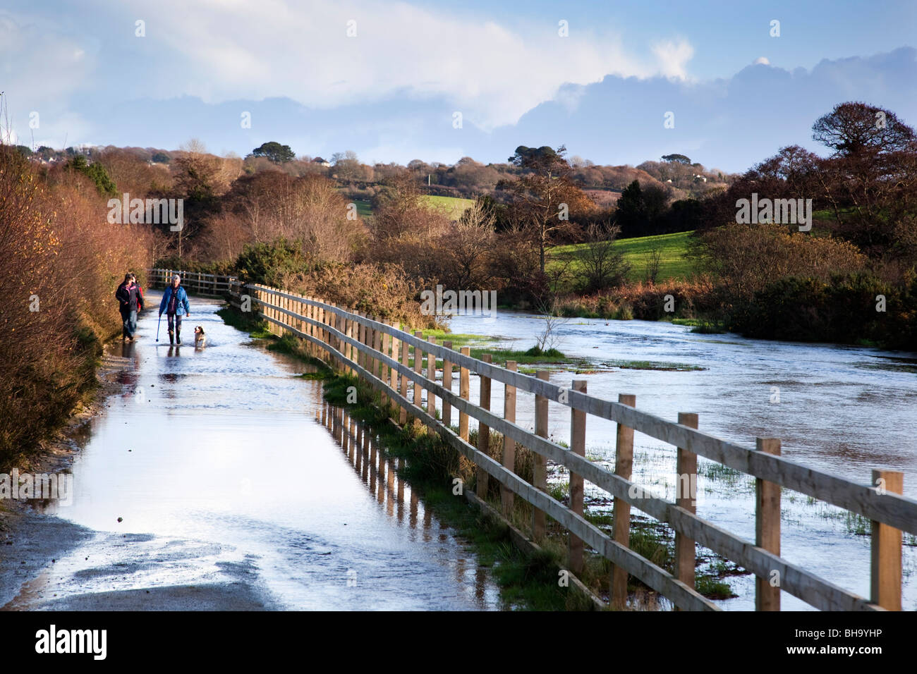 Wheal Jane nature reserve; Cornwall Stock Photo - Alamy