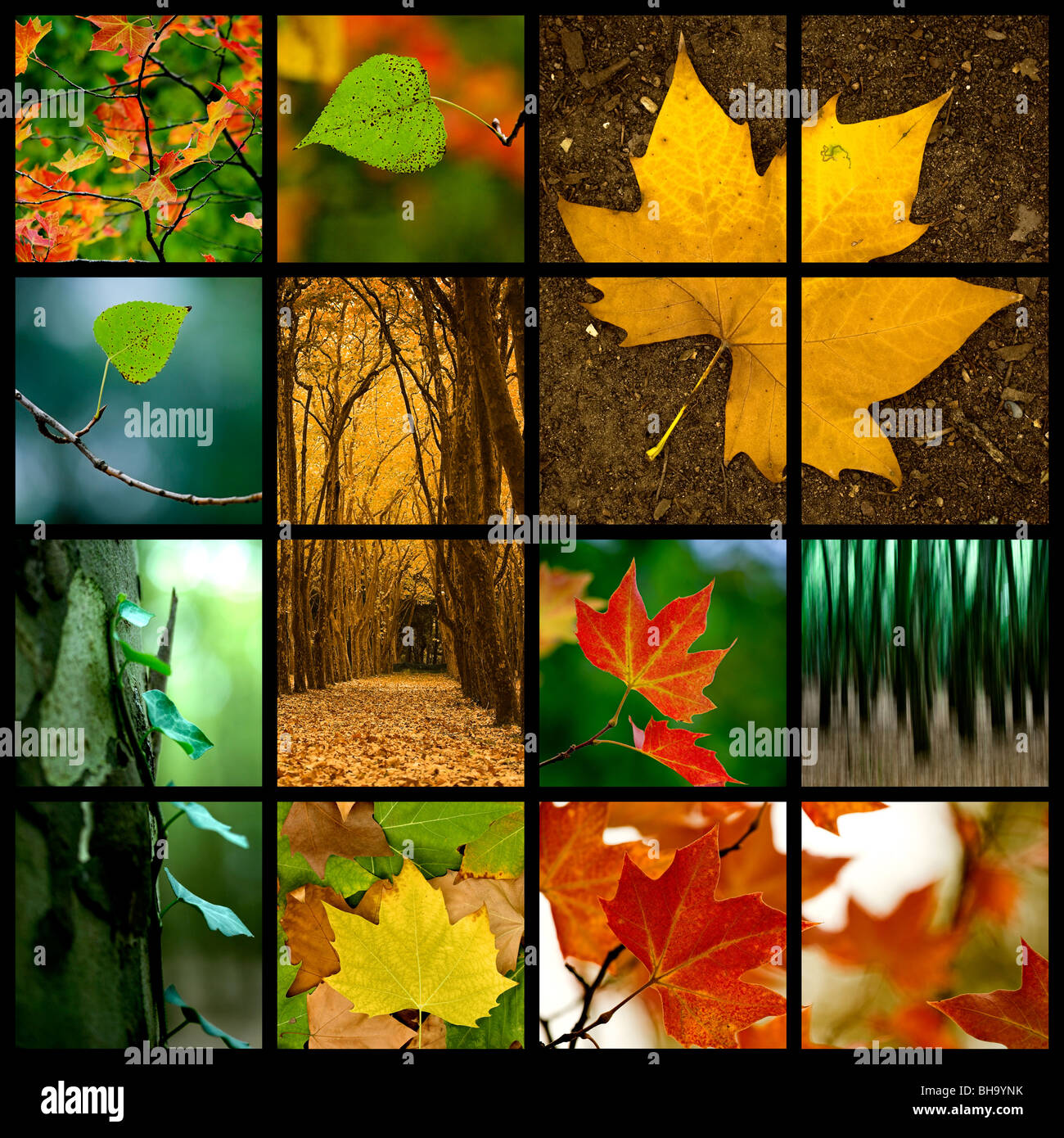 Garden themed wallpaper hi-res stock photography and images - Alamy