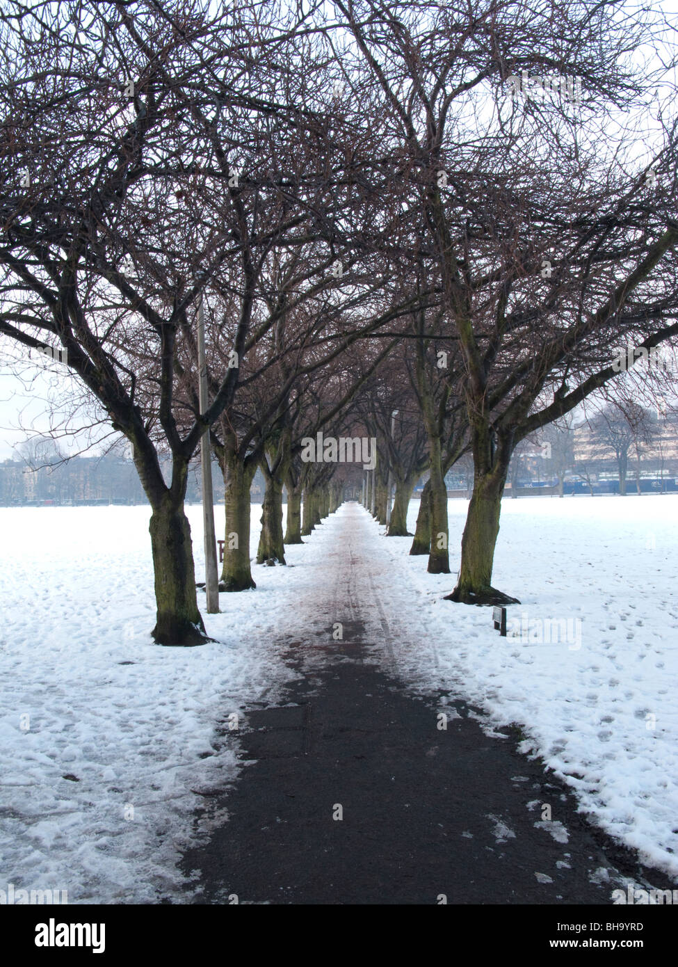 Snow scene on The Meadows, Edinburgh Scotland UK Stock Photo - Alamy