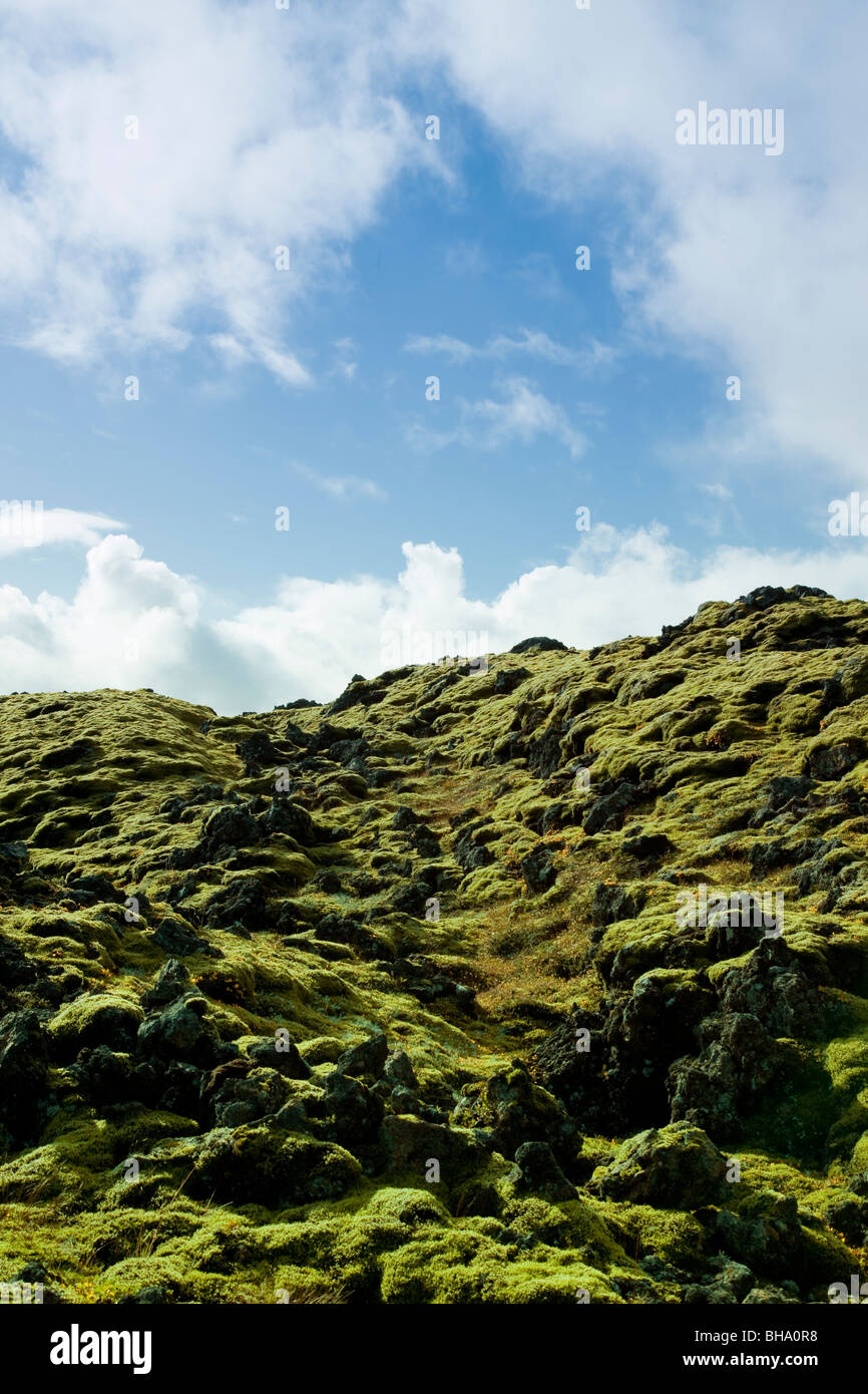 Old volcano landscape in Iceland Stock Photo - Alamy