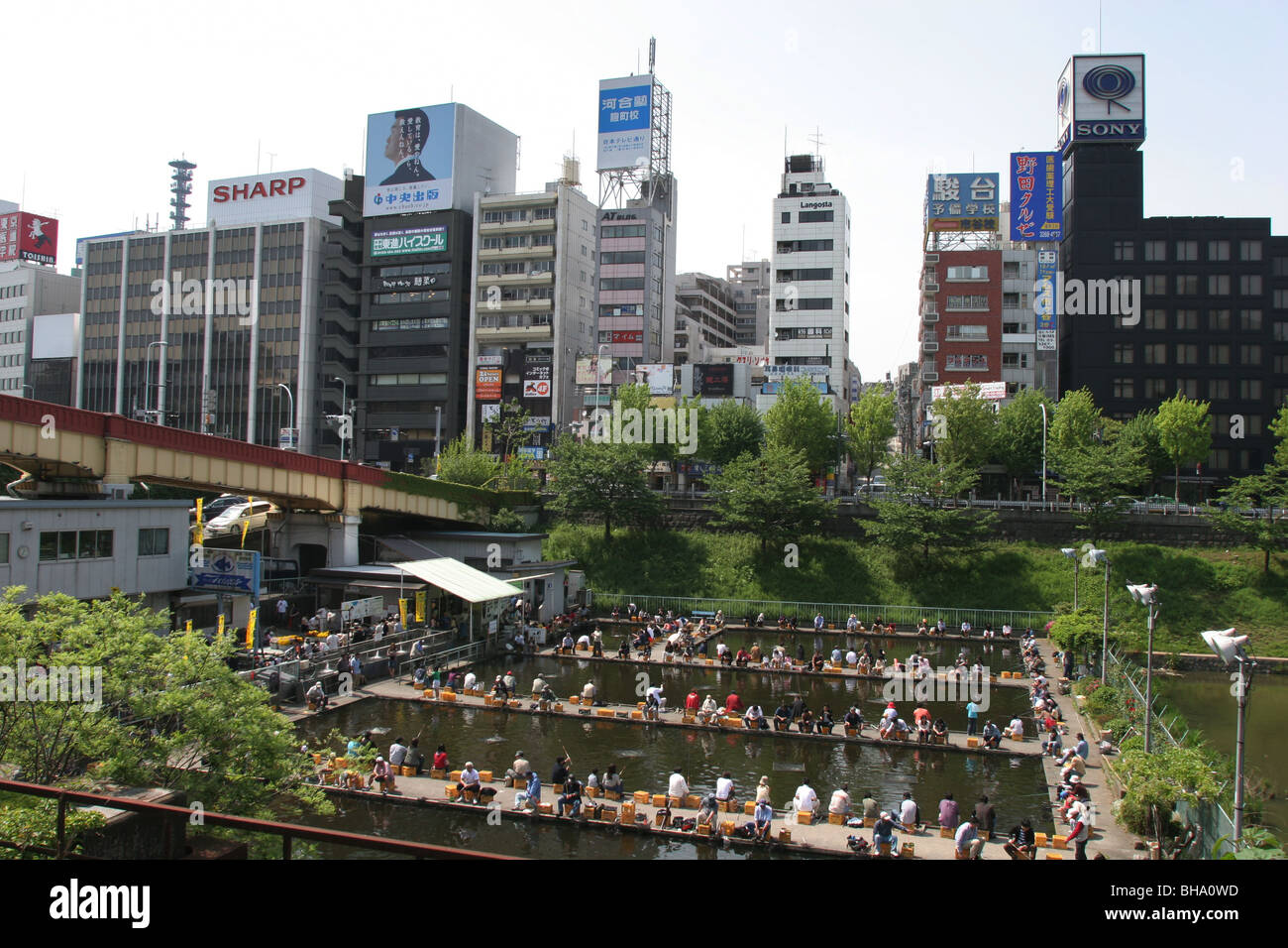 people fishing at the Ichigaya Fishing Centre, located in the outer ...