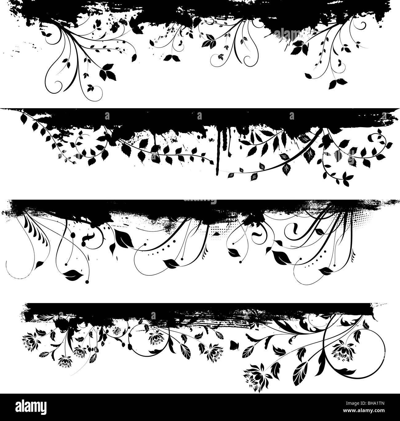 Leaves borders Black and White Stock Photos & Images - Alamy