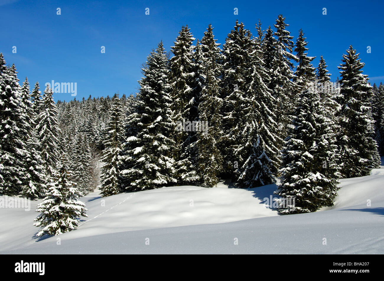 Winterscapes hi-res stock photography and images - Alamy