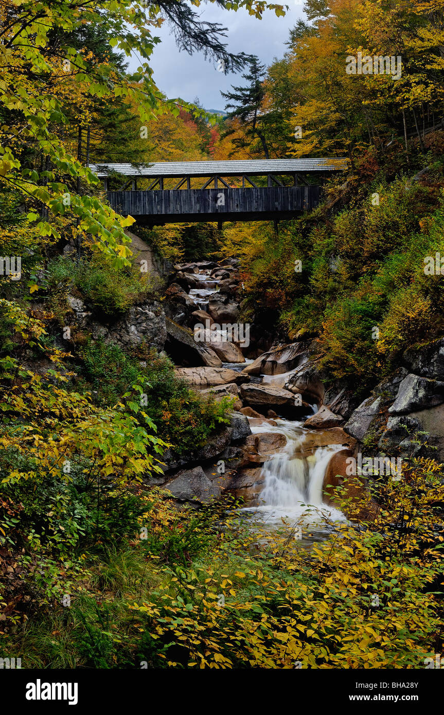 Sentinel pine bridge hi-res stock photography and images - Alamy