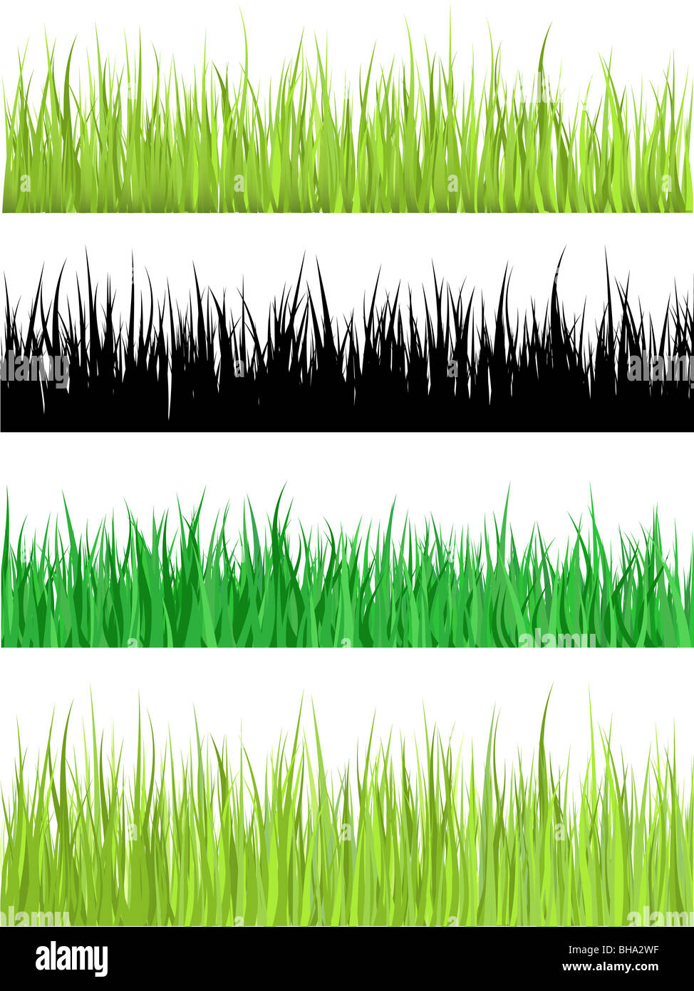 Detailed illustration of grass hi-res stock photography and images - Alamy