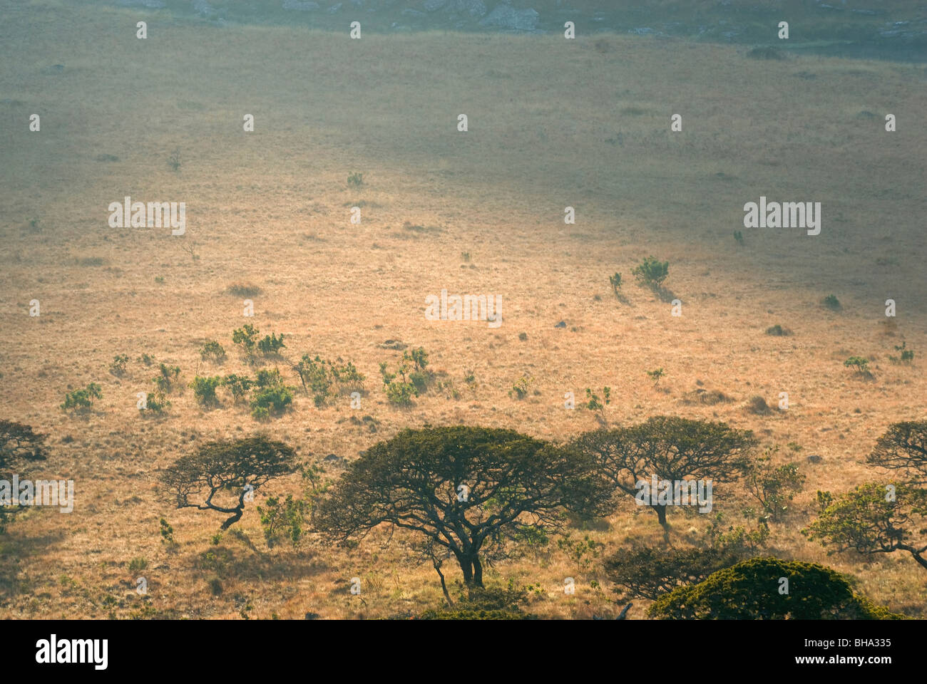 The Chimanimani Mountains on Zimbabwe's Eastern Highlands offer some of ...