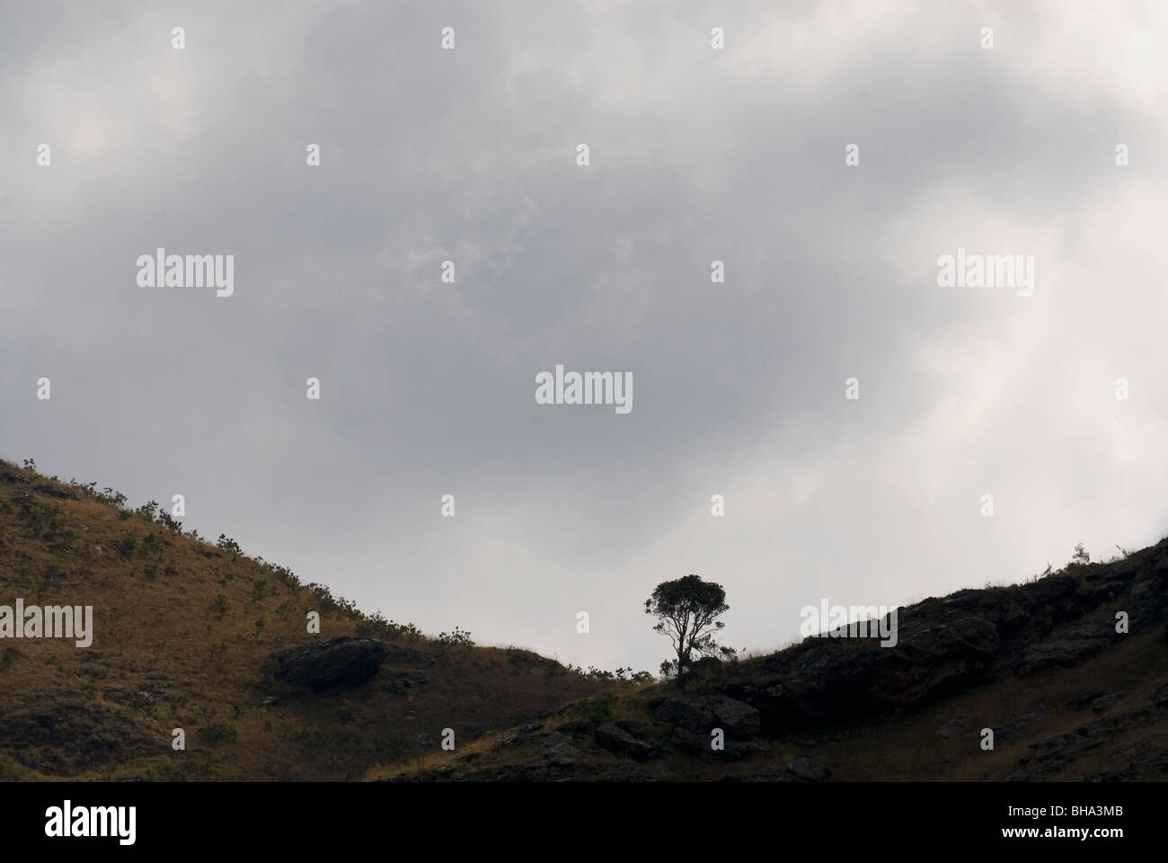 Chimanimani National Park Zimbabwe Africa Stock Photo - Alamy