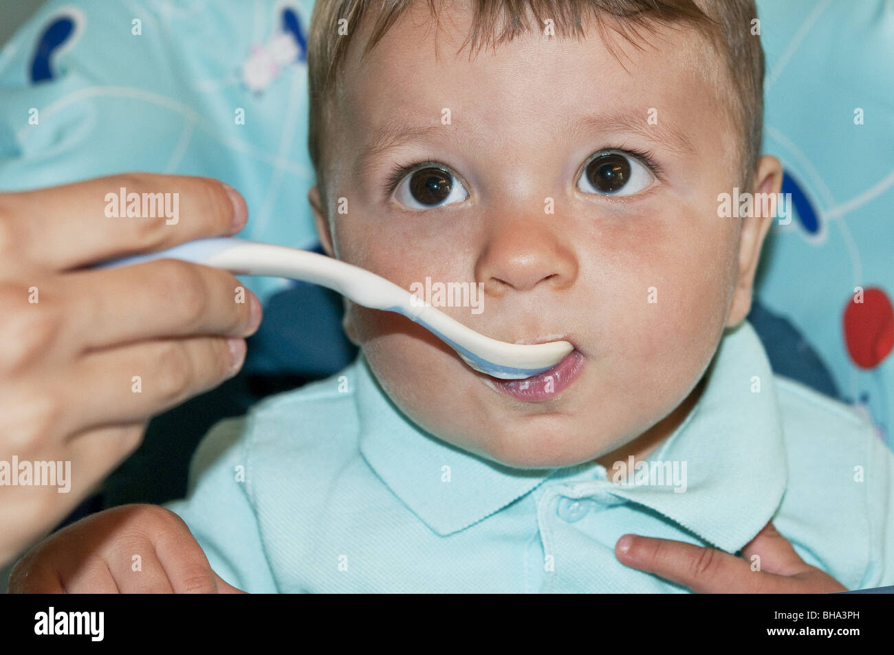 Young woman's hand feeding baby boy in high chair Stock Photo - Alamy