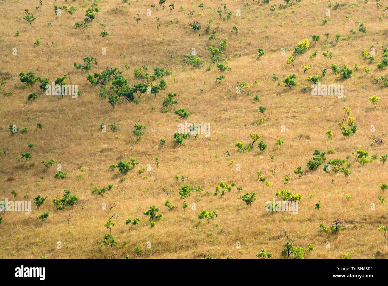Chimanimani National Park Zimbabwe Africa Stock Photo - Alamy