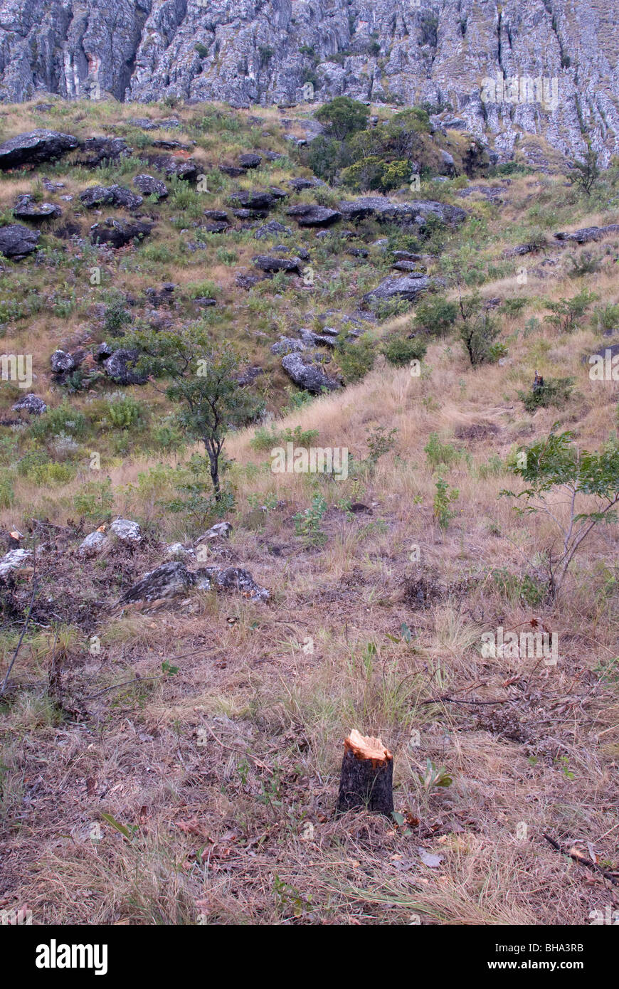 Chimanimani national park mozambique hi-res stock photography and ...