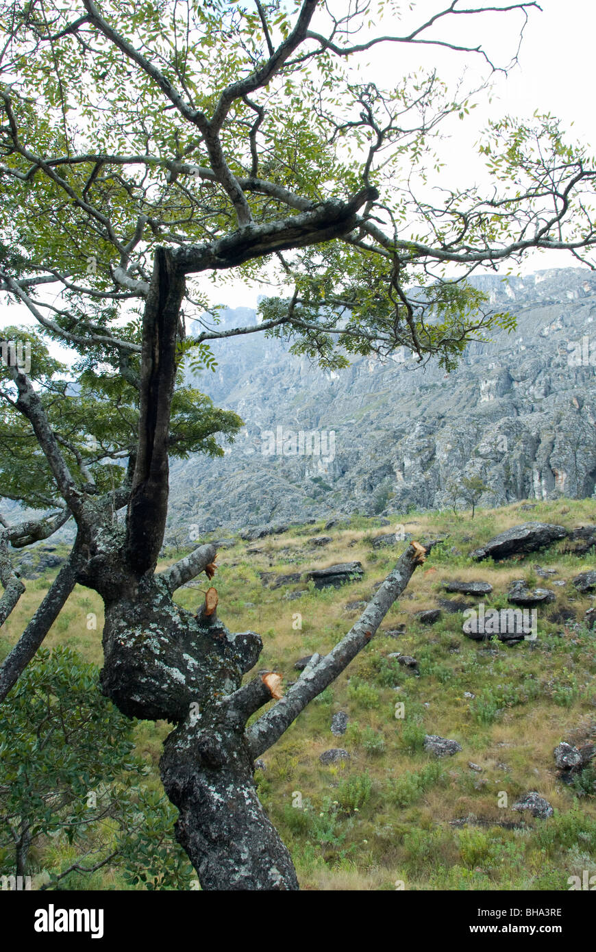 Chimanimani National Park Zimbabwe Africa Stock Photo - Alamy