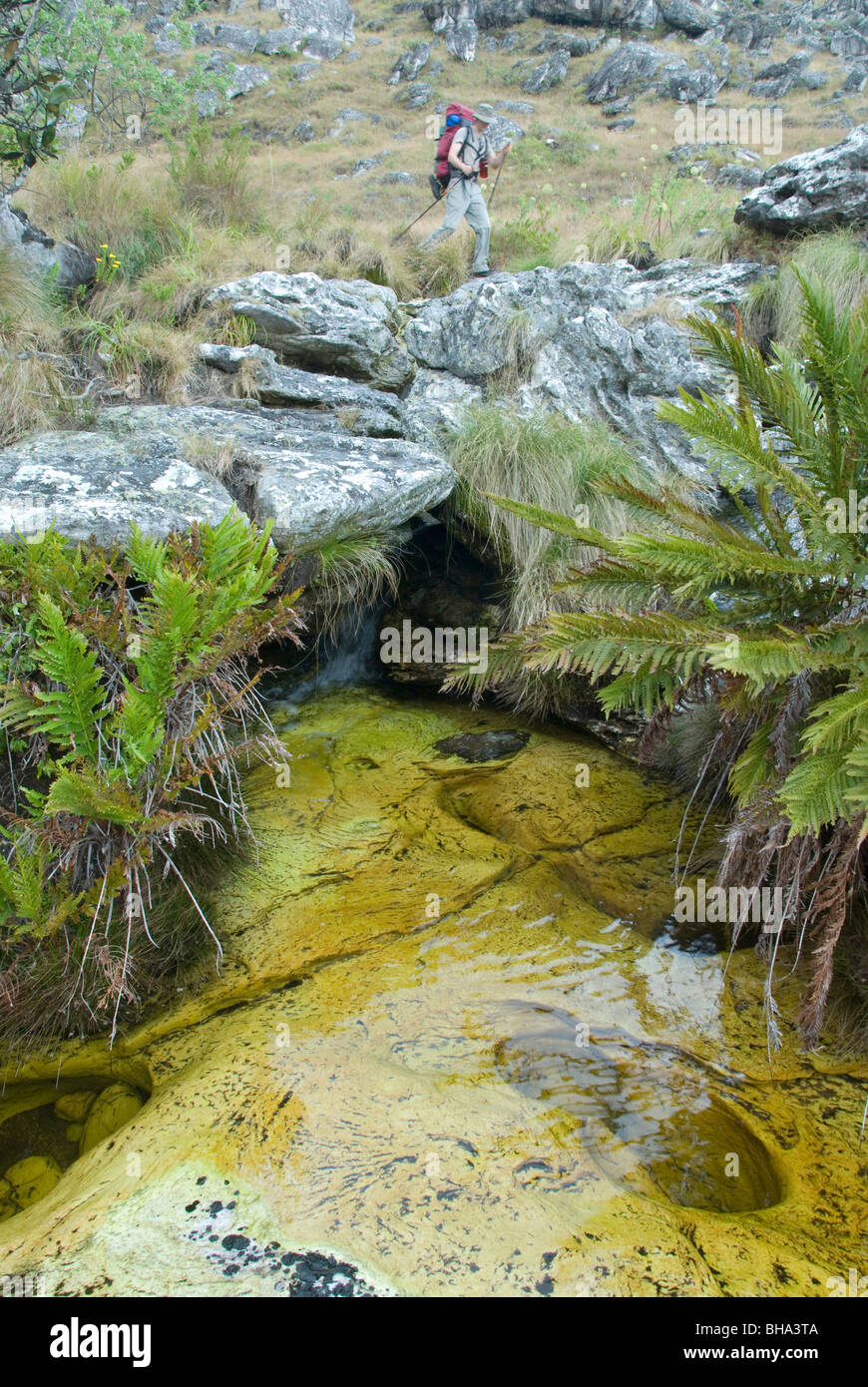 Chimanimani national park mozambique hi-res stock photography and ...