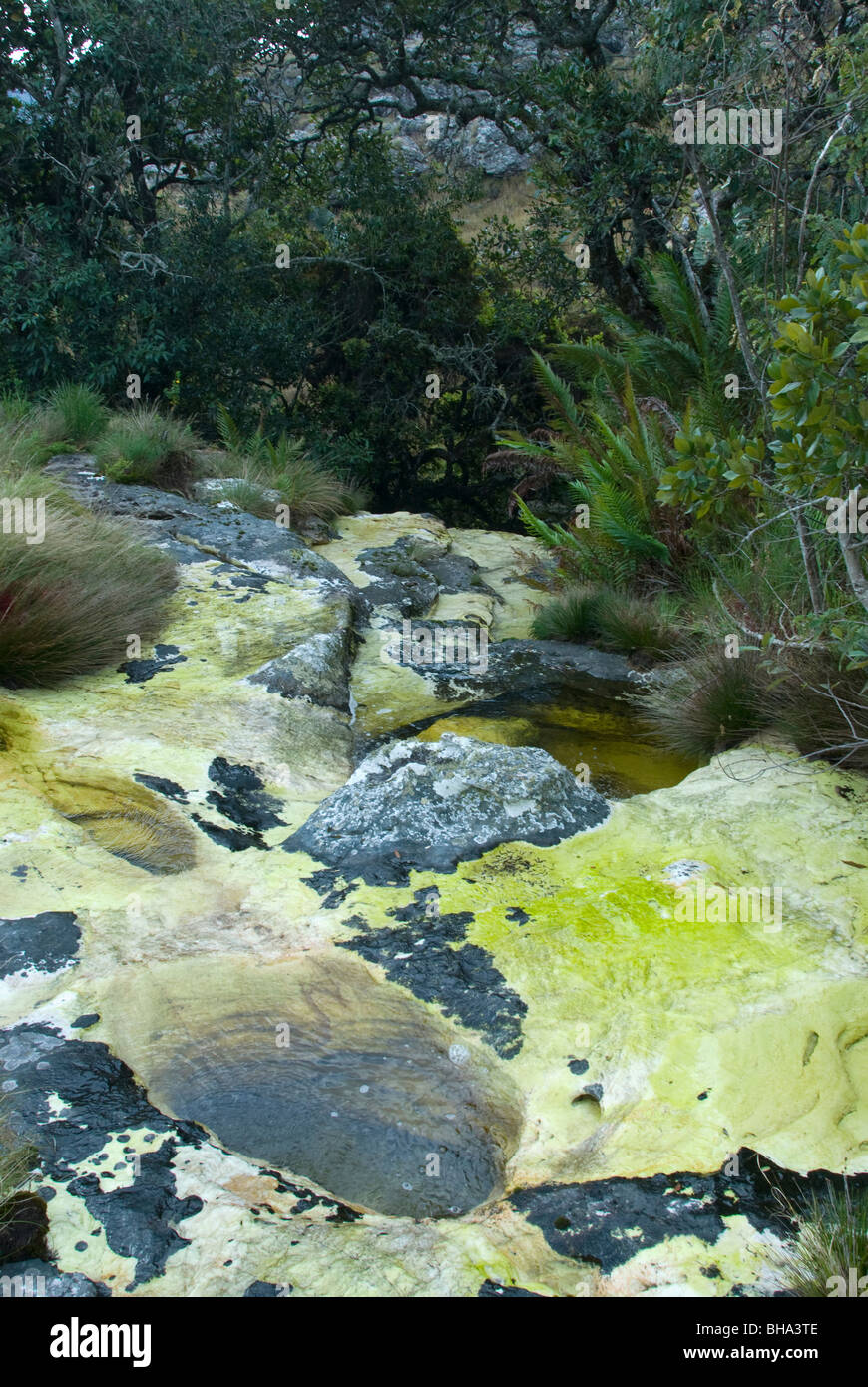 Chimanimani national park mozambique hi-res stock photography and ...